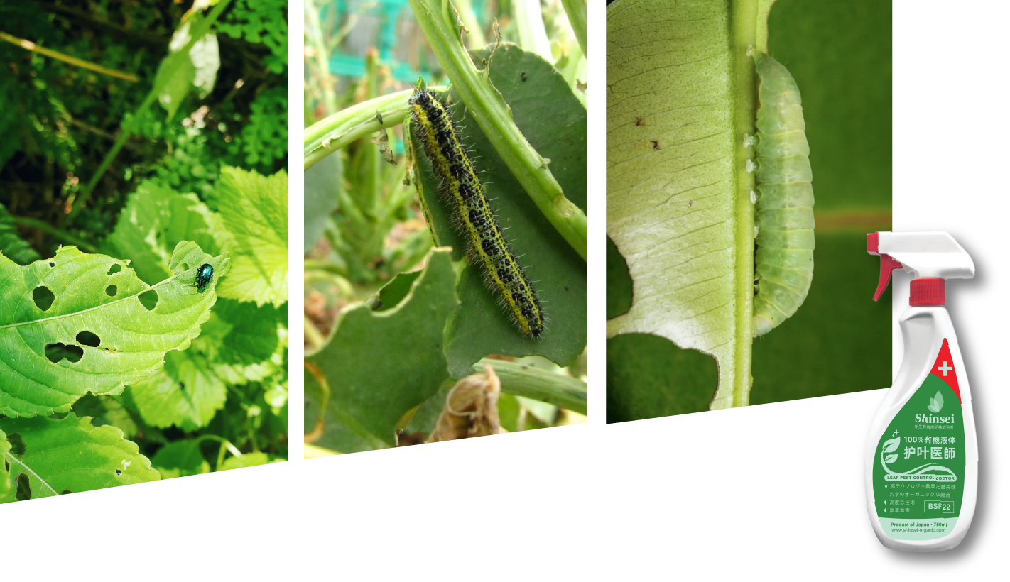 Products – Shinsei Malaysia Sdn Bhd